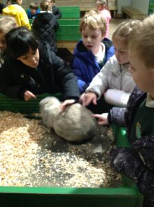 Milton Mount Primary School - EYFS